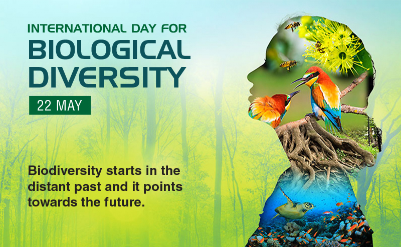 The International Day for Biological Diversity