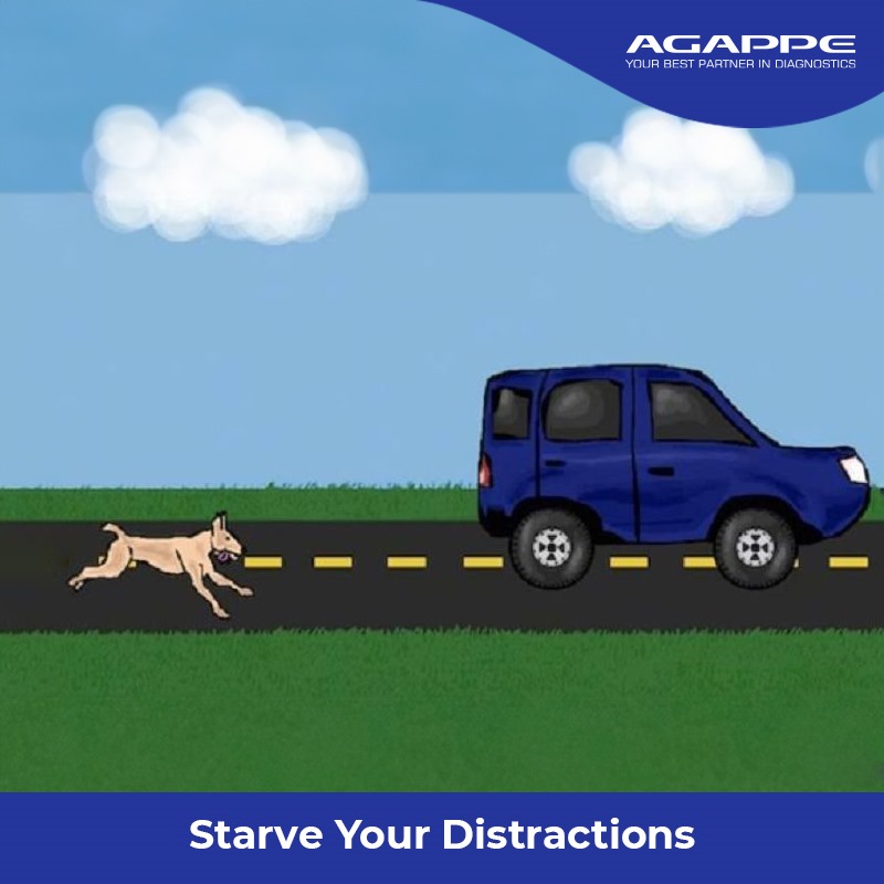 Starve Your Distractions