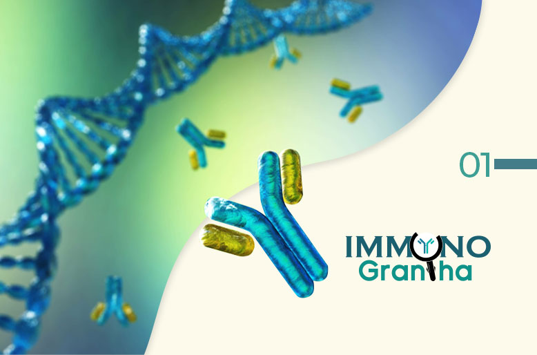 Chemiluminescence Immunoassay (CLIA) -AMPPD & Alkaline Phosphatase (ALP)