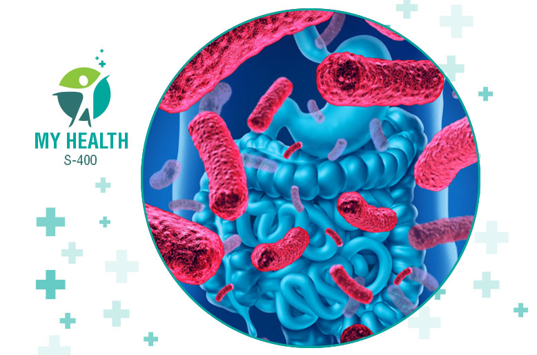 Gut Microbiota : Explore the Complete Guide