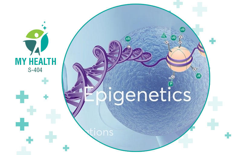 Epigenetic Mechanisms: A Complete Guide