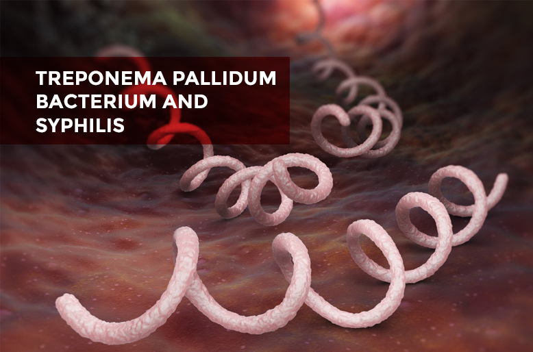 TREPONEMA PALLIDUM BACTERIUM AND SYPHILIS…