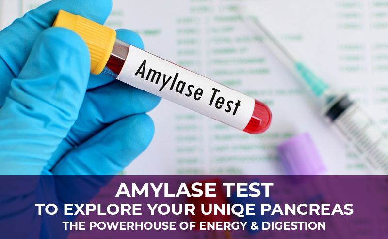 AMYLASE TEST, TO EXPLORE YOUR UNIQUE PANCREAS - THE POWERHOUSE OF ...